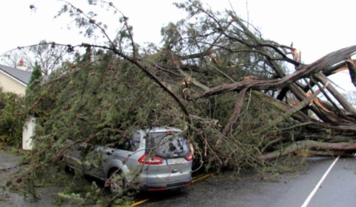 Laois County Council on standby for Storm Darragh damage - Laois Live