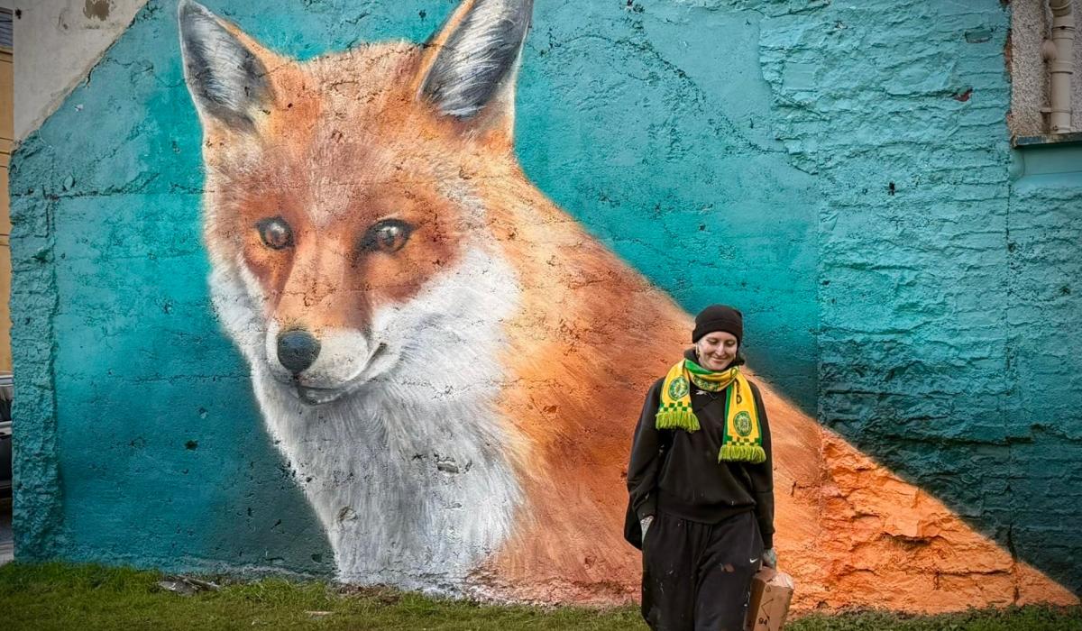 Laois artist winning attention for fantastic fox mural in Limerick city ...