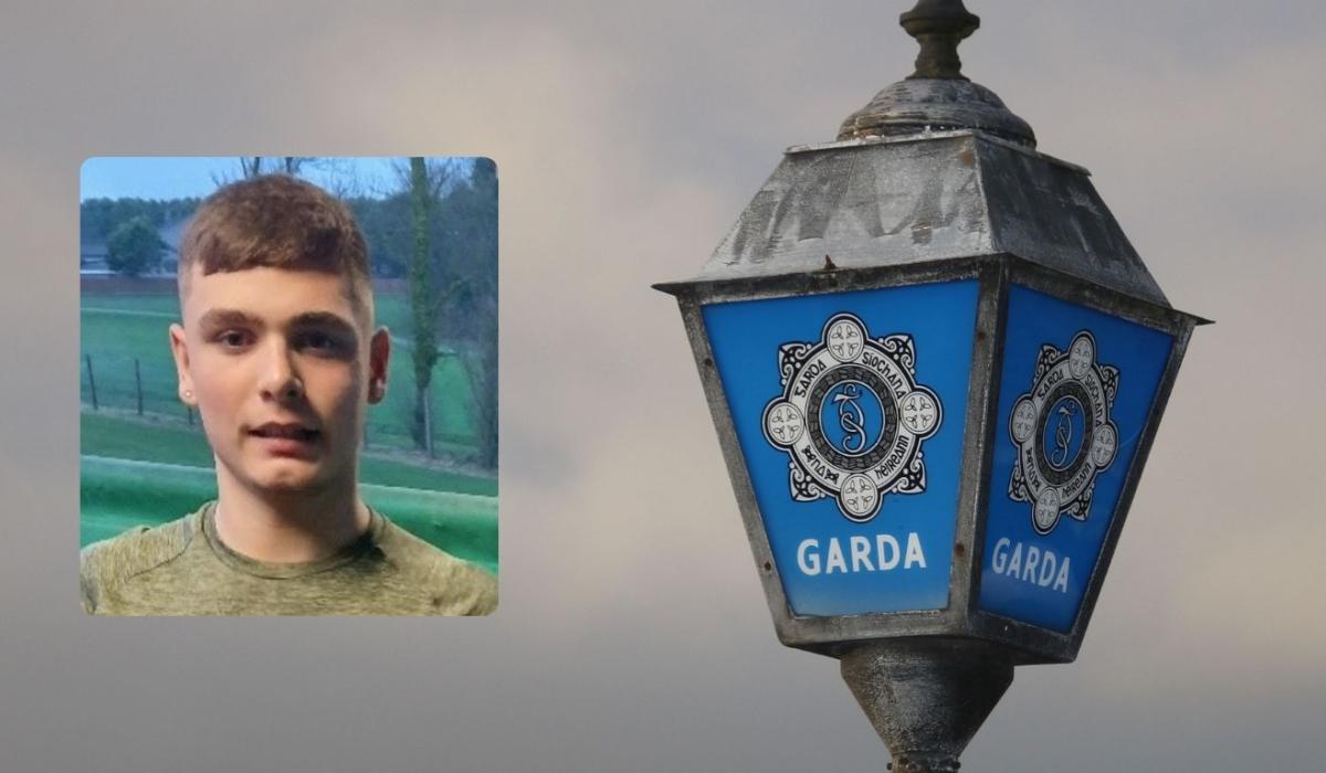 ALERT: Gardai in urgent appeal to locate boy, 17, who may have travelled to Dublin - Laois Live
