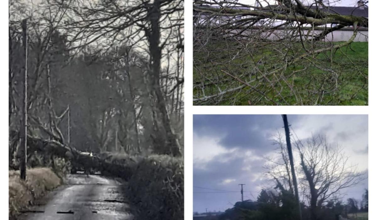 Storm Éowyn clean up commences in Laois as parts of N80 remain ...