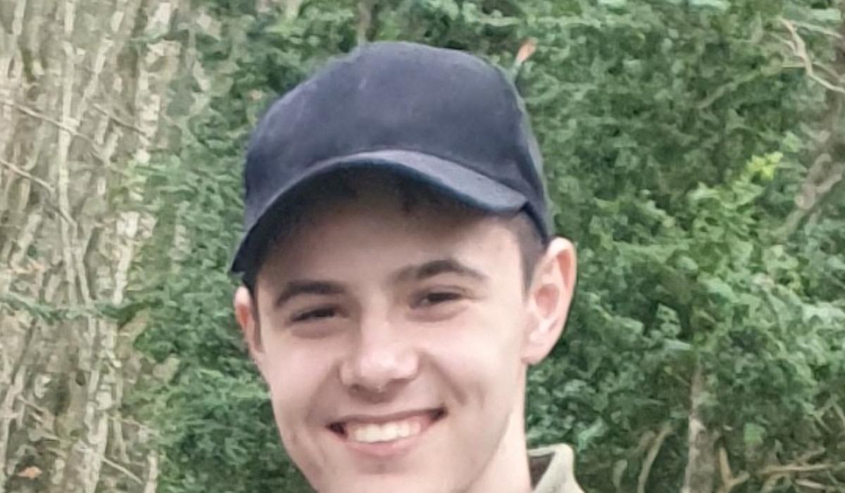 Gardaí issue appeal over teenage boy missing from Laois - Laois Live