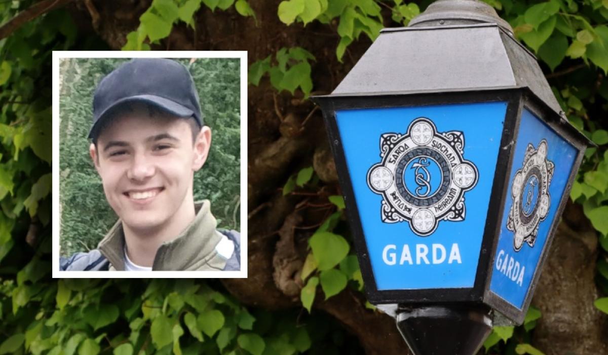 Gardaí stand down search for missing Laois teenager amid update - Laois Live