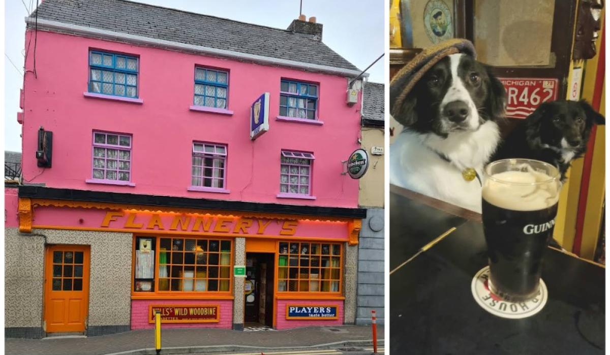 Shneaky Sip: Skip Sean’s Bar - you’d be barking mad to miss the chaotic ...