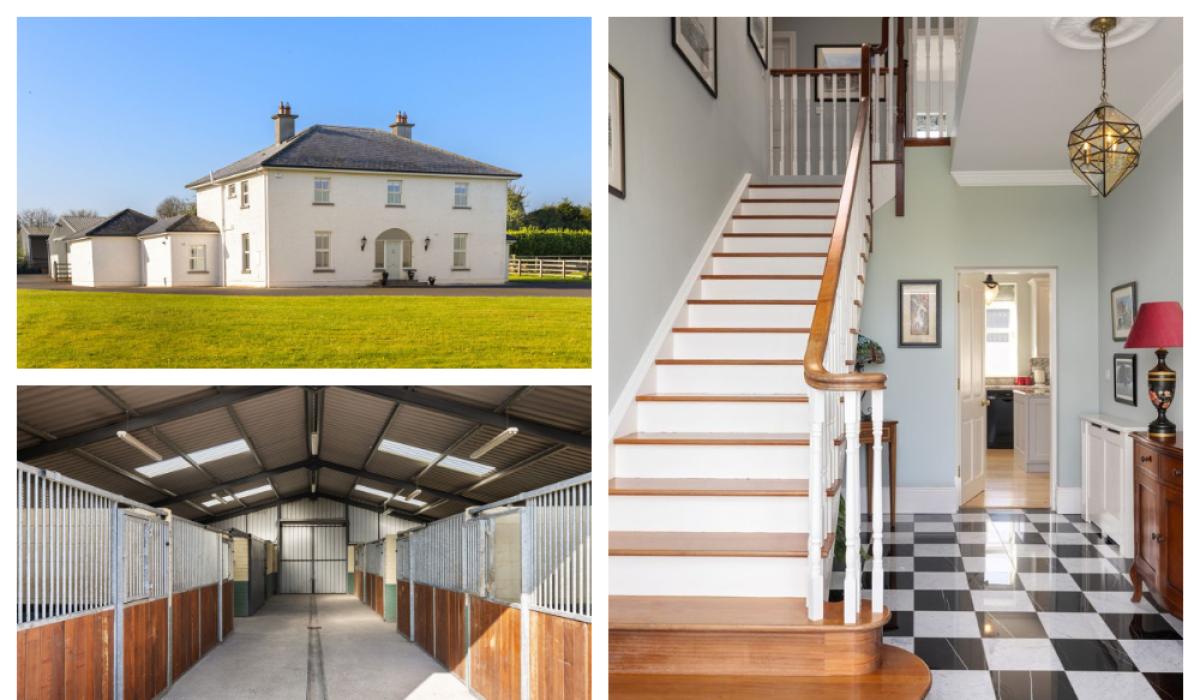 PICTURES: Stunning Laois home with top-class equestrian training ...