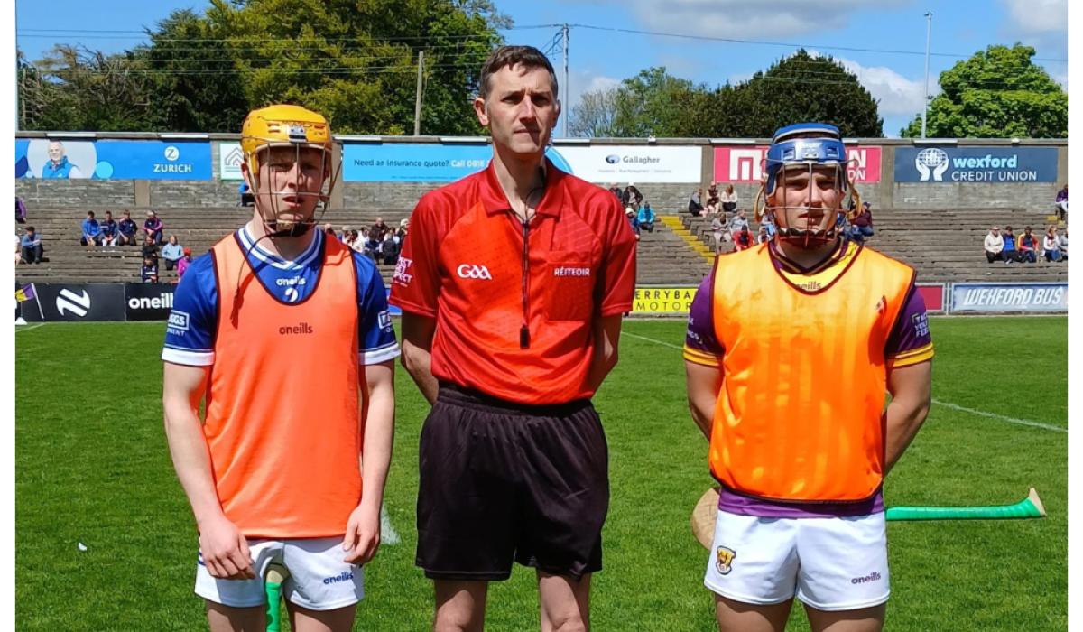 Laois U-20 hurlers shake off Wexford to set up Leinster semi-final with ...