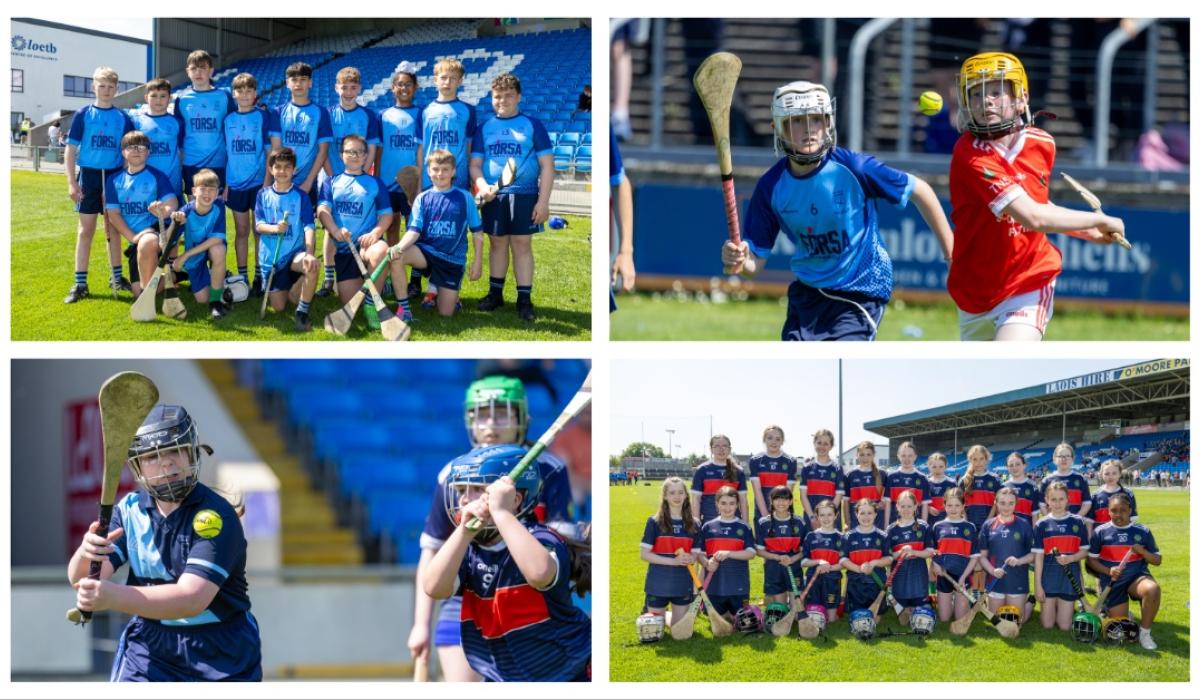 PICTURES: Young Laois GAA stars shine in Portlaoise - Page 2 of 22 ...
