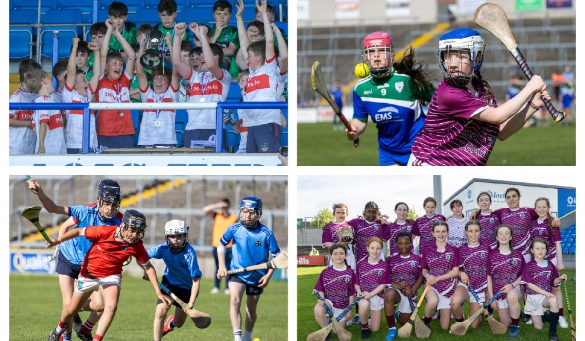 PICTURES: Smiles all round as young Laois GAA stars compete in Cumann ...