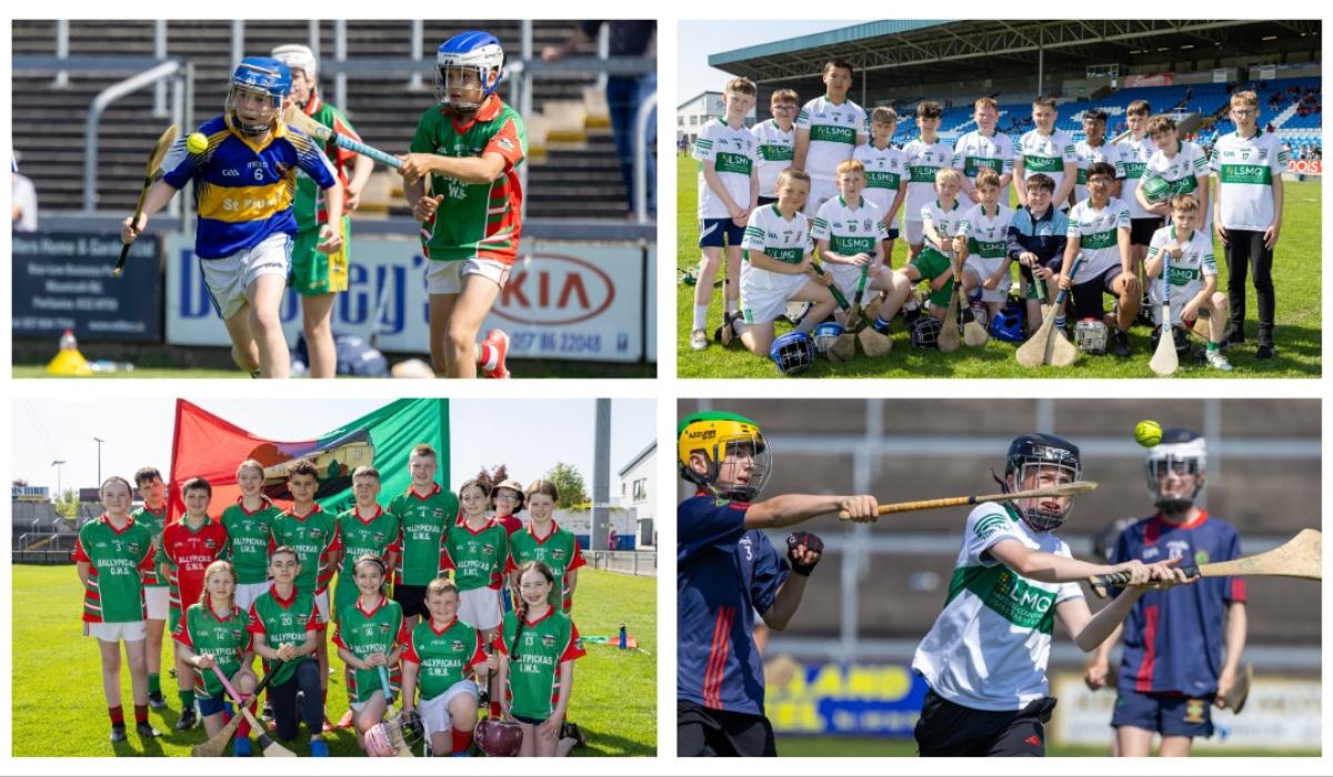 PICTURES: Young Laois GAA stars all set for final day of Cumann na ...