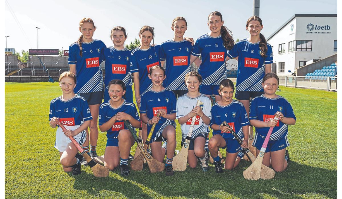 Cuddy and Dunne to the fore for Castletown against Holy Family - Laois Live