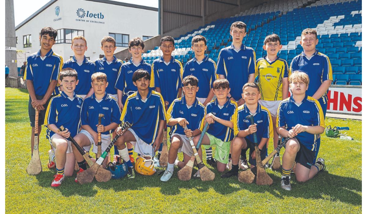 Brennan's brillance seals Roinn 6 glory for Abbeyleix against Emo ...