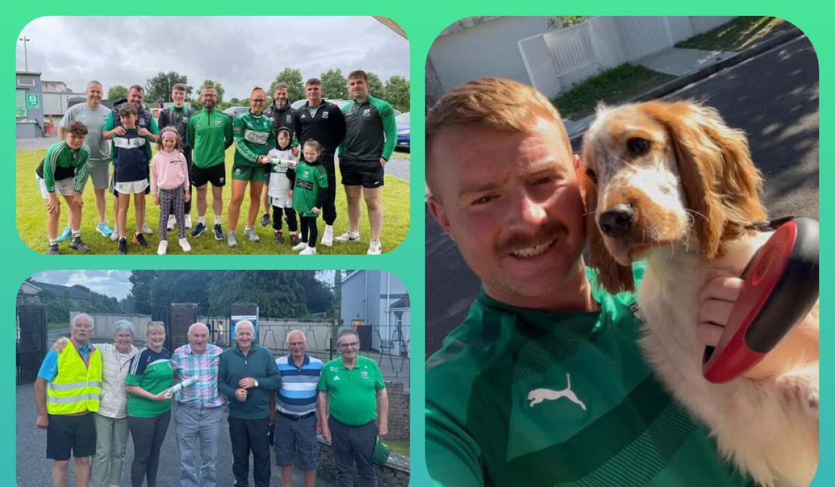 IN PICTURES: Portlaoise GAA hosts fourth annual Walk For The Town ...