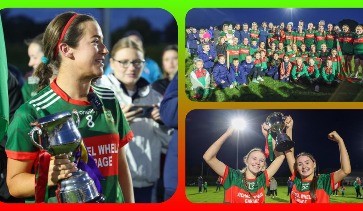 IN PICTURES: Historic occasion as Graiguecullen Ladies become Senior ...