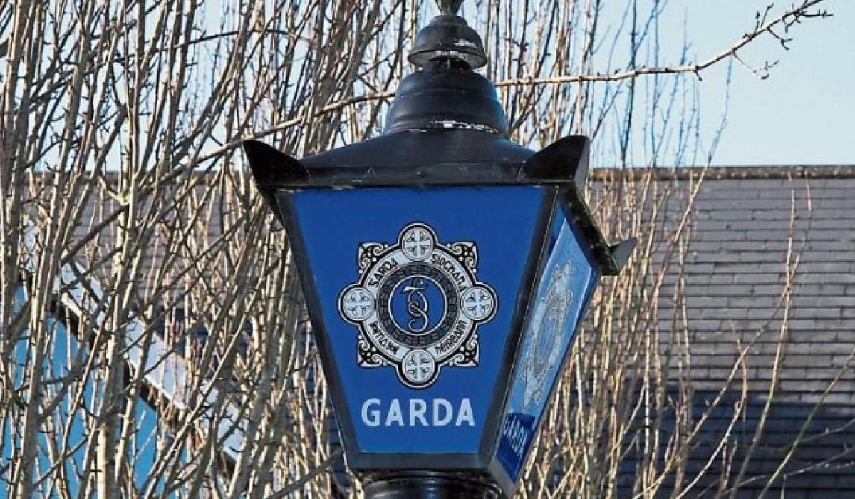 Sinn Féin expel Laois party member following arrest of partner in Garda far right probe - Laois Live