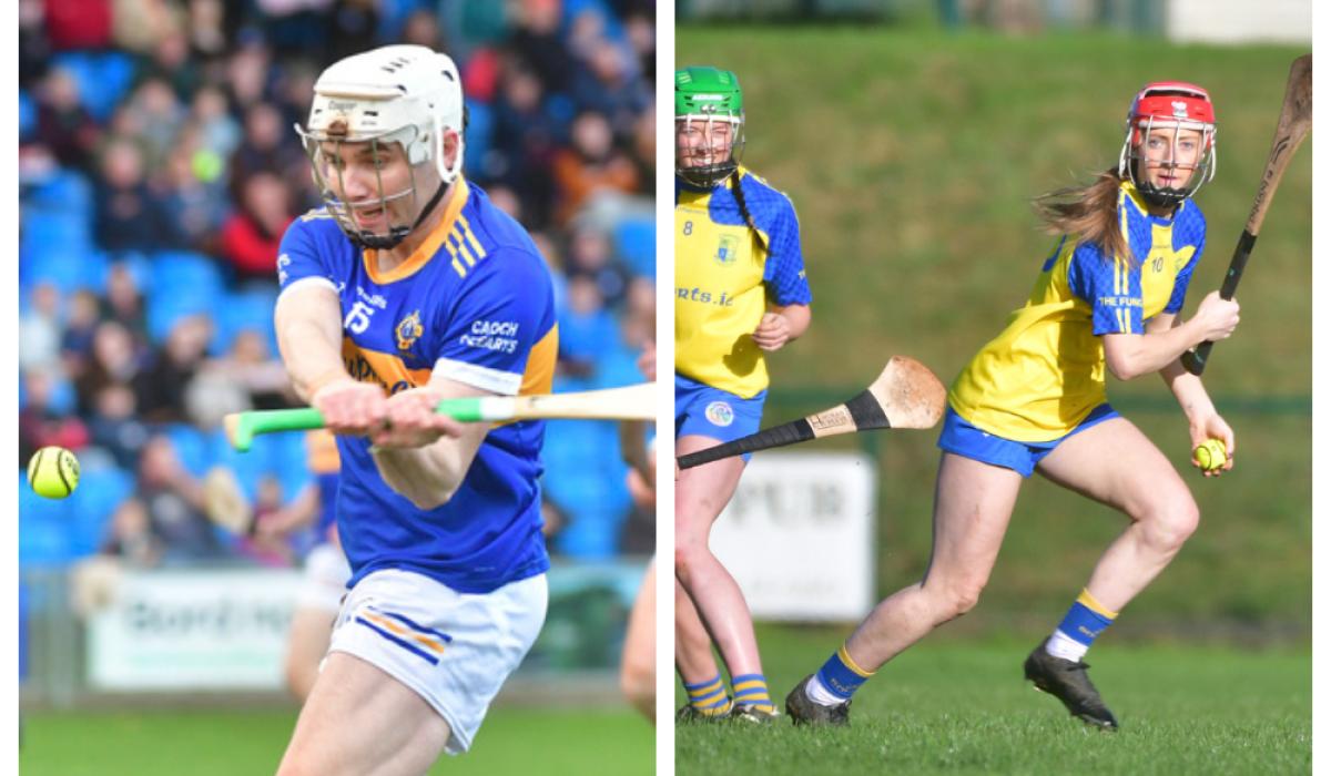 Clough-Ballacolla launch Leinster Club Hurling campaign while St Lazarian’s in Leinster final ...