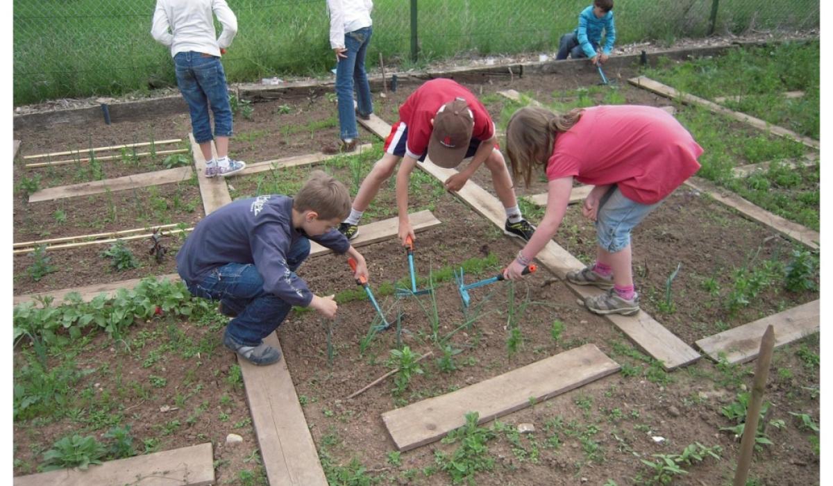 Thirteen Laois schools awarded funding for sustainability projects ...