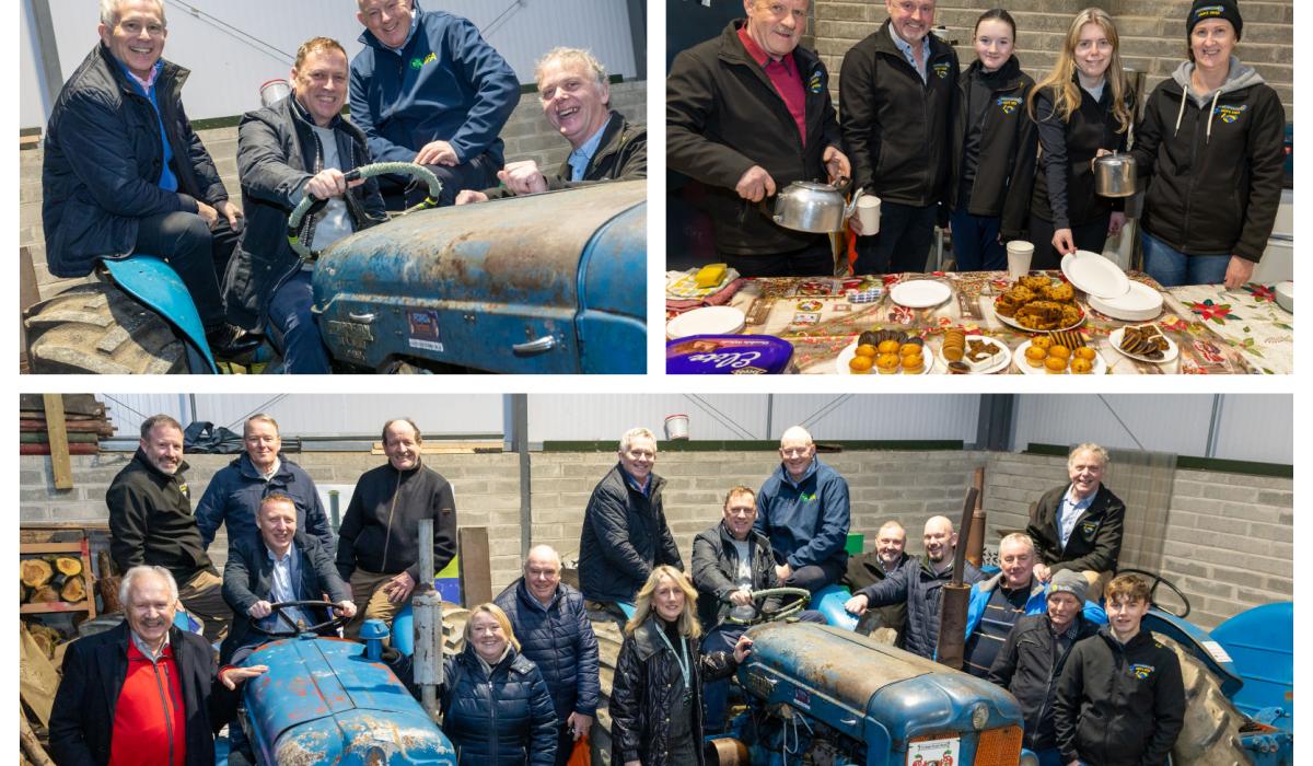 PHOTOS: Fordsons and fun in Laois at vintage club and men's shed open ...