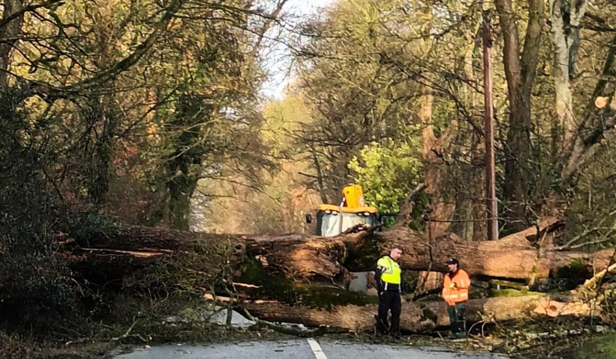 Laois in Met Éireann Storm Debi Status Red warning zone - Laois Live