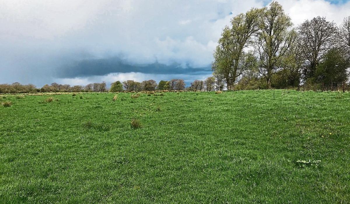 Concerns over trespassers with lurcher dogs on Laois farms - Laois Live