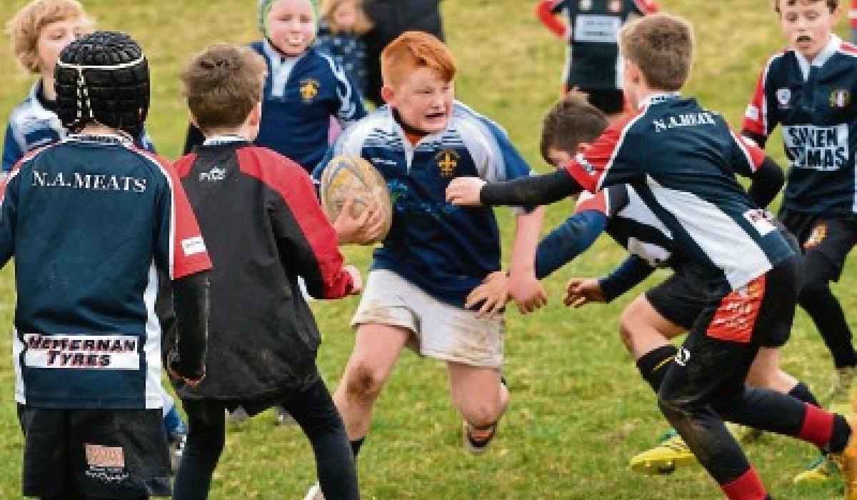 Portlaoise Rugby Club sets out ambitious multi-sport green plan in ...