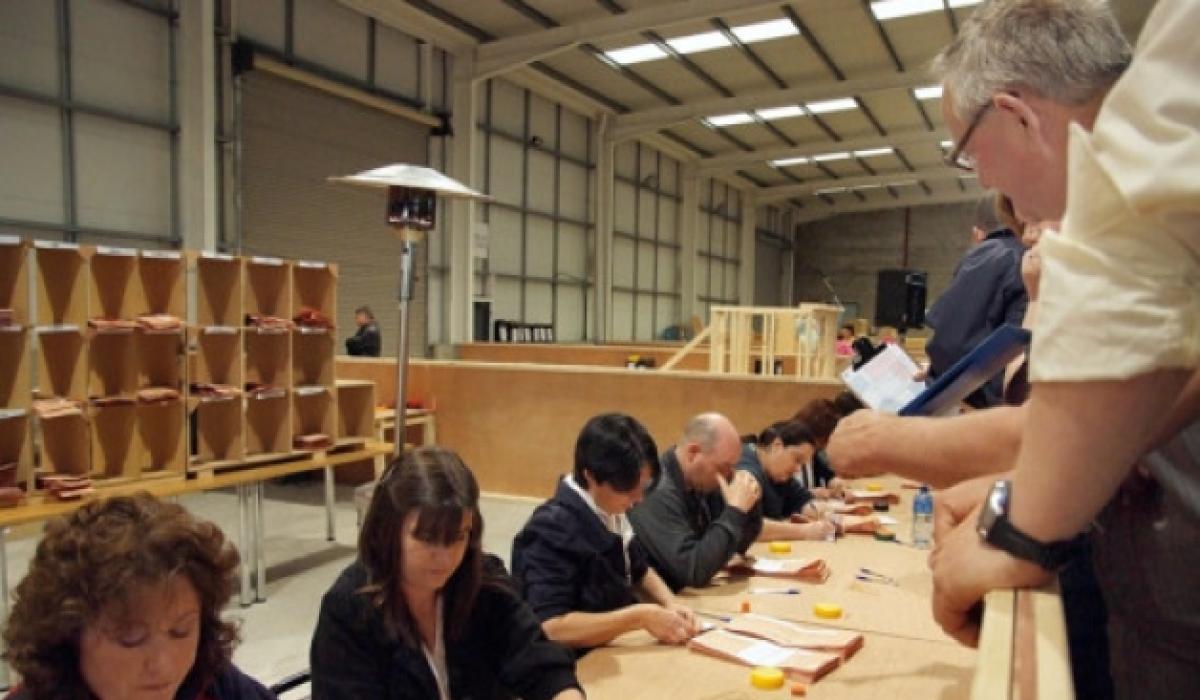 Portlaoise councillor 'humbled' by Fianna Fáil general election backing - Laois Live