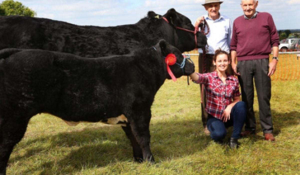 Clonaslee Show returns for 66th year - Laois Live