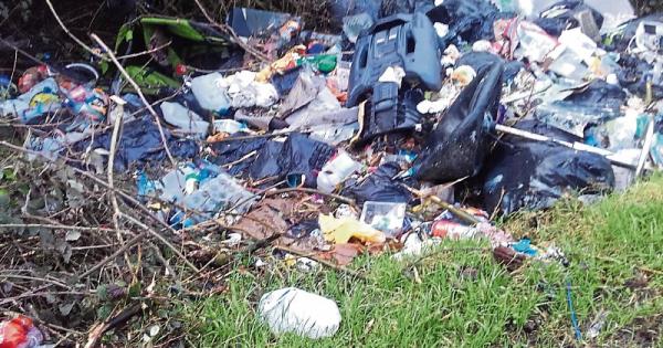 Revealed: Cost of illegal dumping collection, litter wardens and legal ...