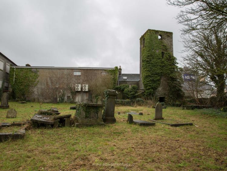 Historic Laois towns can regenerate with Heritage Council help ...