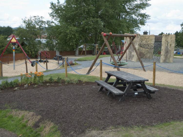 Full steam ahead for upgraded Stradbally playground - Leinster Express