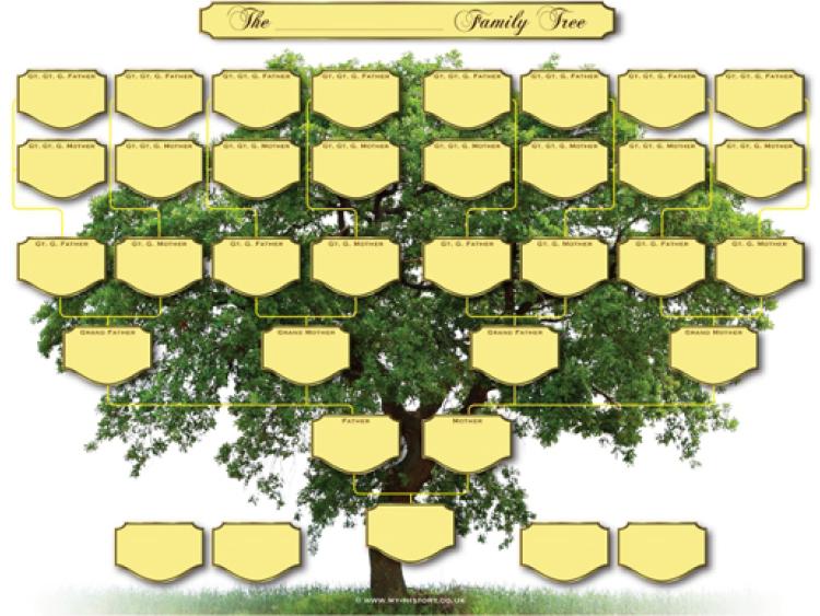 Have you ever wanted to trace your family tree? - Leinster Express