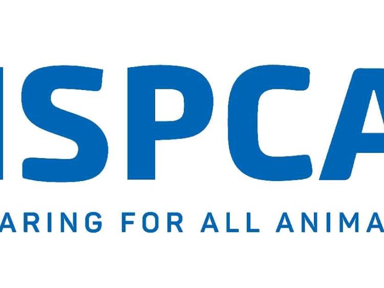 Irish Society for the Prevention of Cruelty to Animals (ISPCA ...