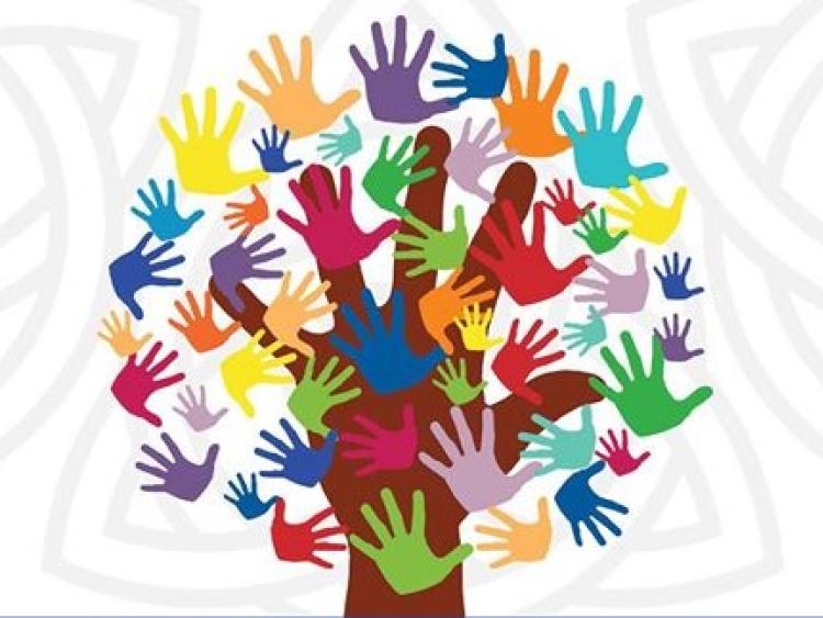 Laois seminar on cultural integration and diversity - Leinster Express