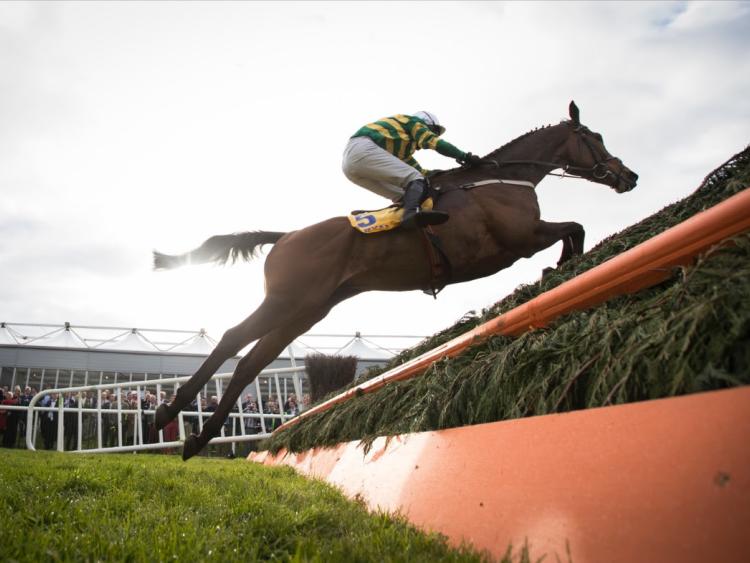 Irish national hunt champion jockey and trainer confirmed as season ...