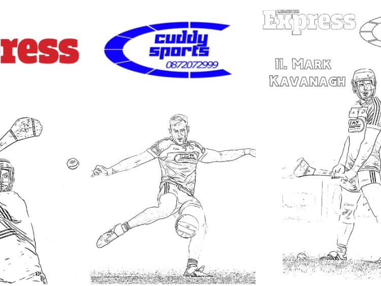 Bored kids? Download free Laois GAA colouring pages and enter our ...
