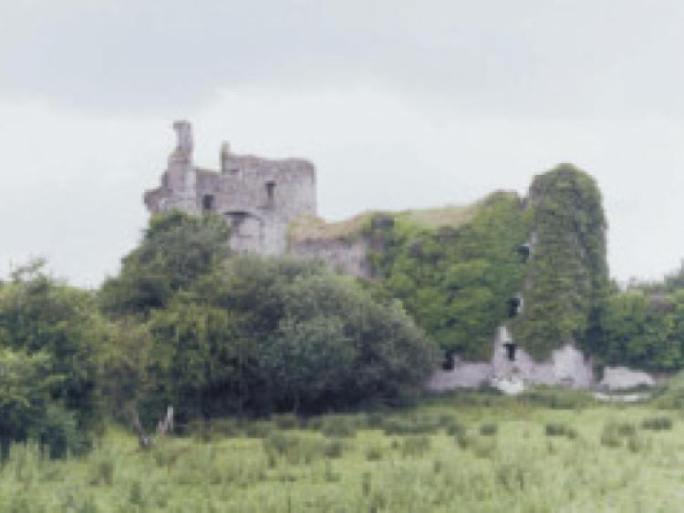 Big plans in Port for Lea Castle - Leinster Express