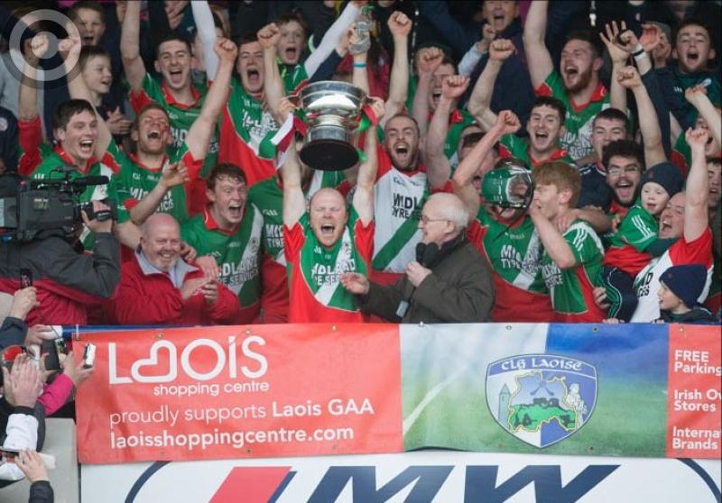 MY SPORTING YEAR - Brian Stapleton (Hurling) - Laois Live