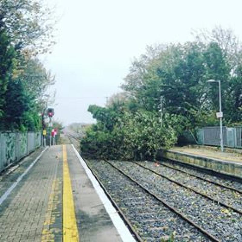 Ophelia: Tree on tracks at Portlaoise train station - Laois Live