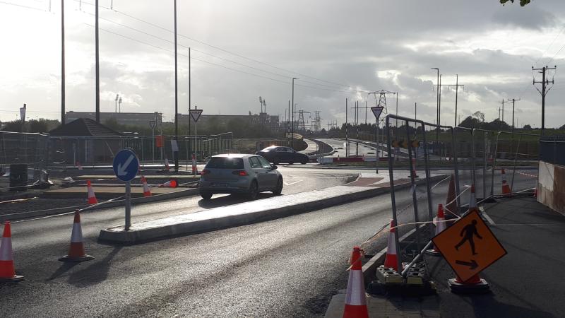 Portlaoise Tidy Towns to lead biodiversity project on new link road ...