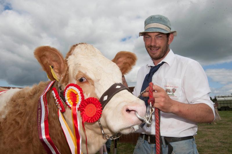 Laois man paid a record price for pedigree Simmental bull - Laois Live
