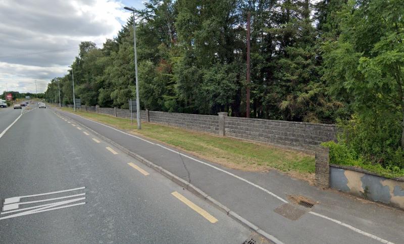 Portlaoise cycle path hiding under overgrowth - Laois Live