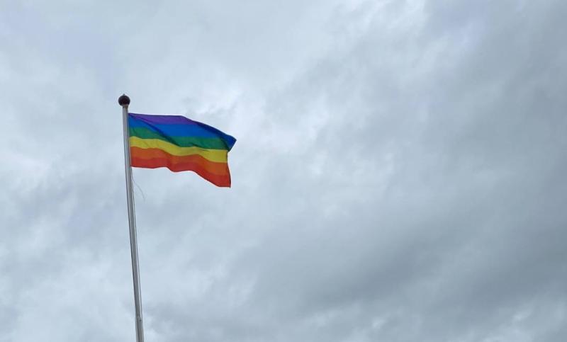 Laois councillor upset at negative comments over the raising of rainbow ...