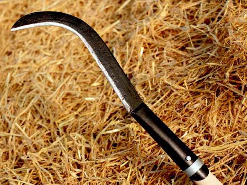 Elderly man allegedly swung slash hook at gardaí in Laois - Laois Live