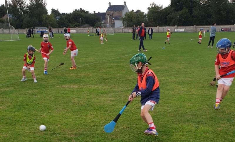 Big boost for Laois Gaelic games as GAA club seals land deal - Laois Live