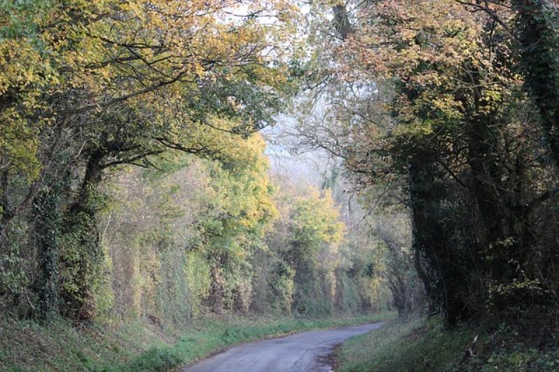 School bus drivers flag risks on 'very dangerous' Laois bends - Laois Live