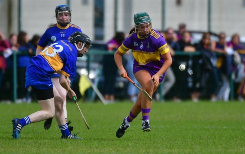 St Brigid’s show their class to lift Junior Camogie League trophy ...