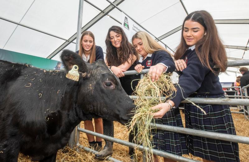 Laois students from Portlaoise school meet their big prize at the ...