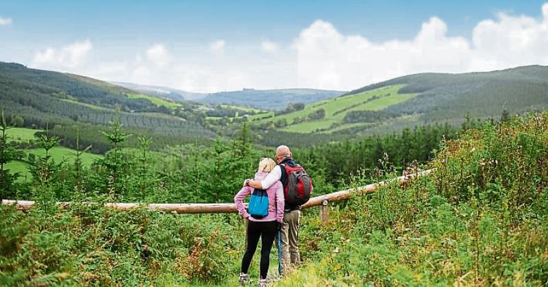 Browned off over delays to Laois bridge fix - Laois Live