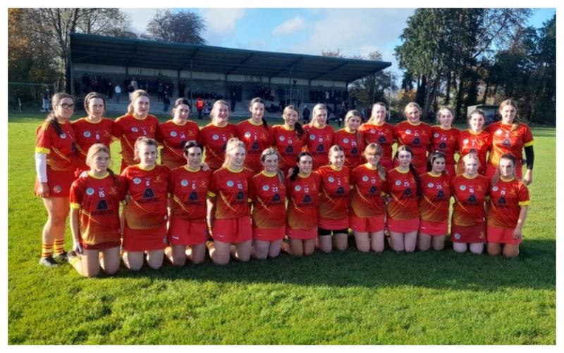 Laois Camogie club has a year to remember - Laois Live