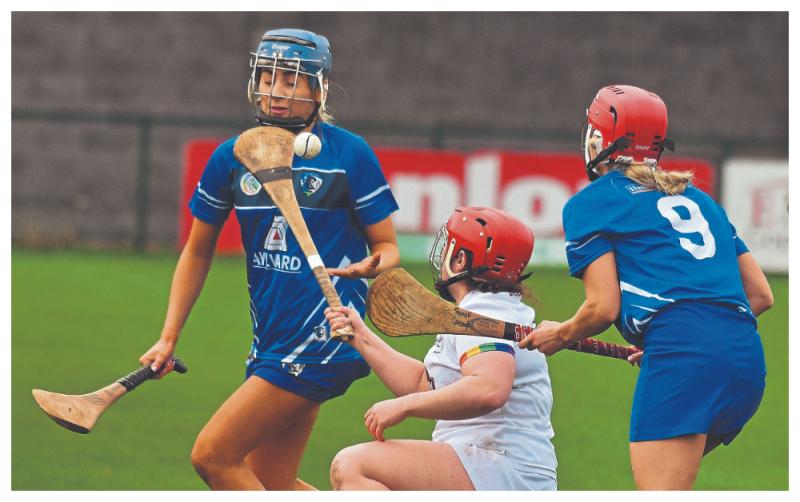 Laois Camogie get the better of Kildare in league opener - Laois Live
