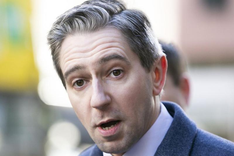 Simon Harris confirms candidacy to become Fine Gael leader - Laois Live