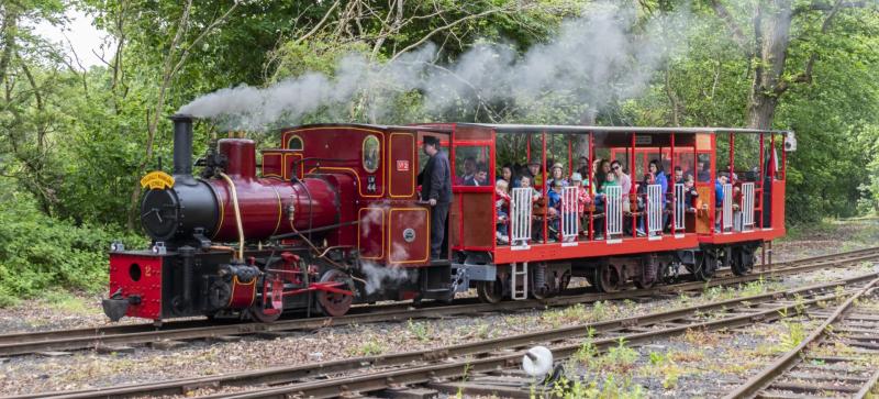 Catch a steam train in the Laois woodlands this August Bank Holiday ...